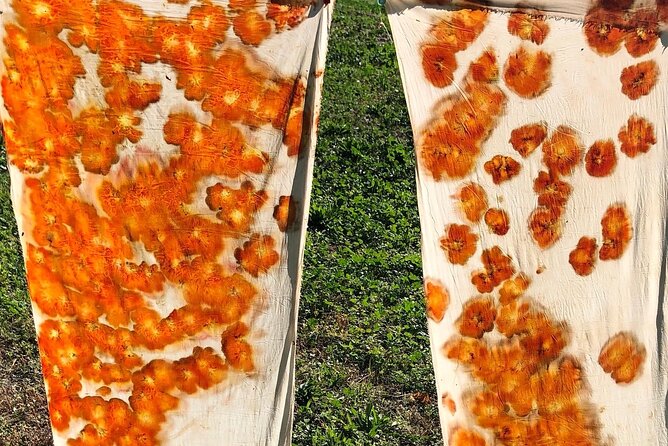 Private Introduction to plant color in Forcalquier in Provence - Value and Pricing