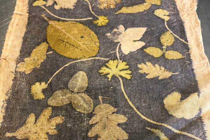 Private Introduction to plant color in Forcalquier in Provence - Practicalities: How to Make It Work