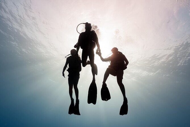 PRIVATE Introductory Discover Scuba Diving For Beginners - A Detailed Look at the Experience