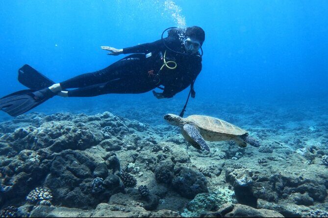 PRIVATE Introductory Discover Scuba Diving For Beginners - Analyzing the Value