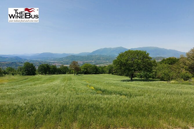 Private Irpinia Gourmet Tour from POSITANO, PRAIANO or AMALFI - What’s Included & What to Consider