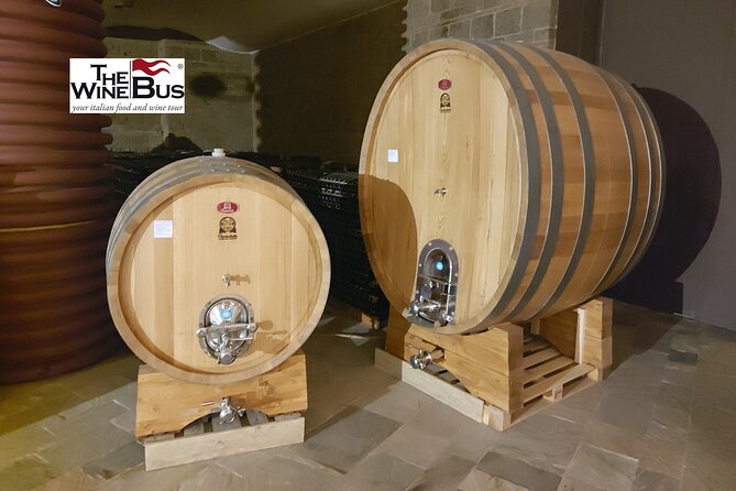 Private Irpinia Wine Tour From NAPLES With Sommelier - Accessibility and Dietary Accommodations