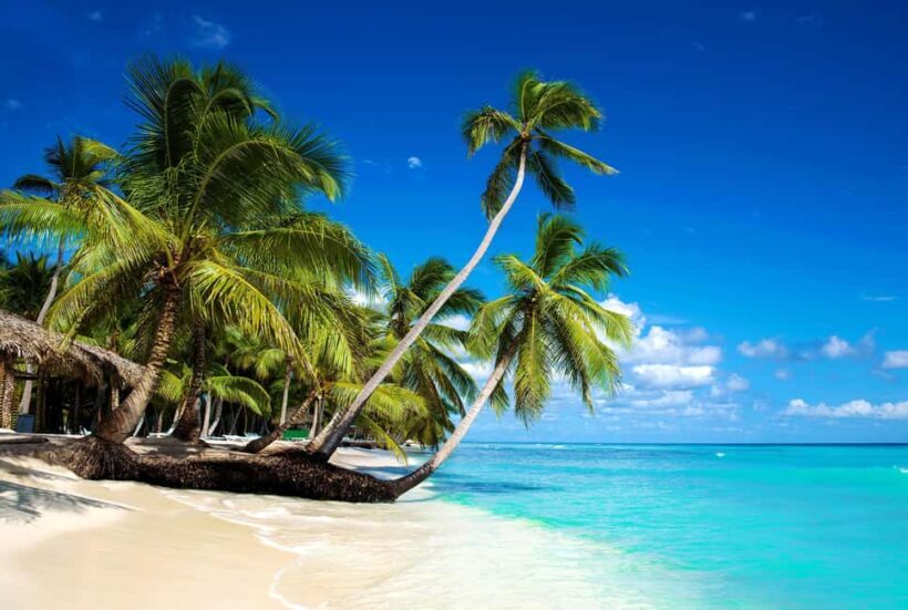 Private: Isla Saona VIP Escape Luxury Beach & Speedboat Tour - The Itinerary in Detail