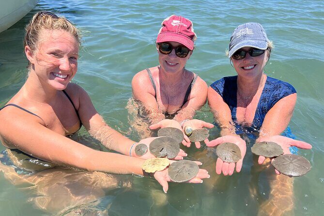 Private Island Eco Tours on a Private Boat from Shackleford Banks - Key Points