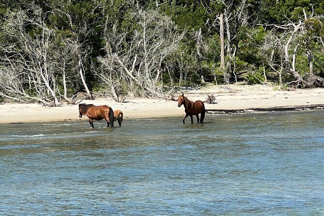Private Island Eco Tours on a Private Boat from Shackleford Banks - FAQs