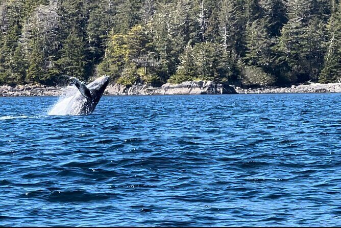 Private Island Experience in Sitka - An In-Depth Look at the Private Island Experience in Sitka
