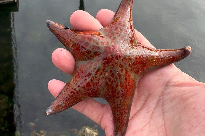 Private Island Experience in Sitka - FAQ