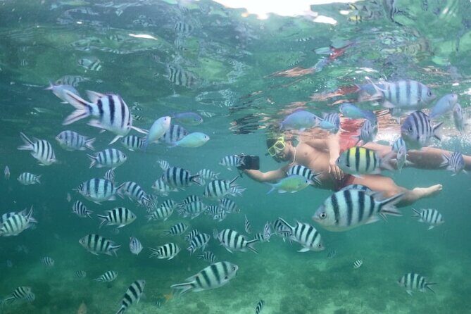 Private Island Hopping from Port Barton with Turtle Watching - Discovering Port Barton: A Quiet Gem