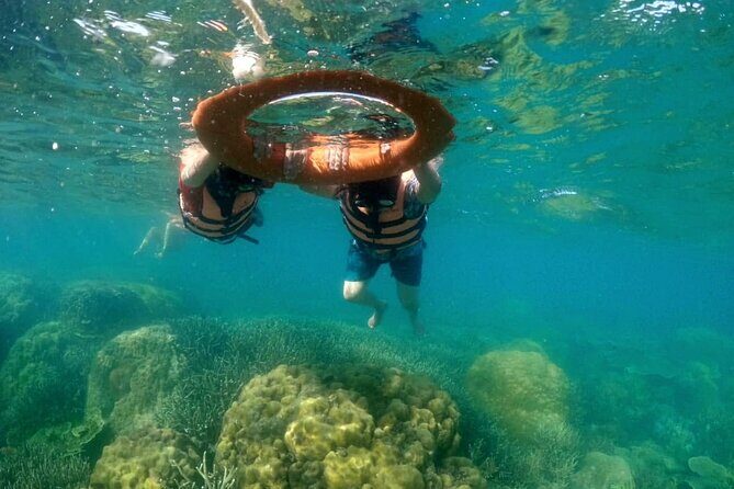 Private Island Hopping from Port Barton with Turtle Watching - Pricing and Value