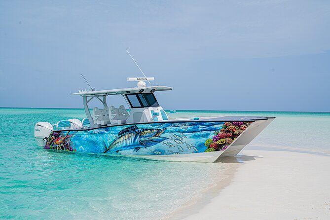 Private Island Hopping Snorkeling Adventure - Key Points