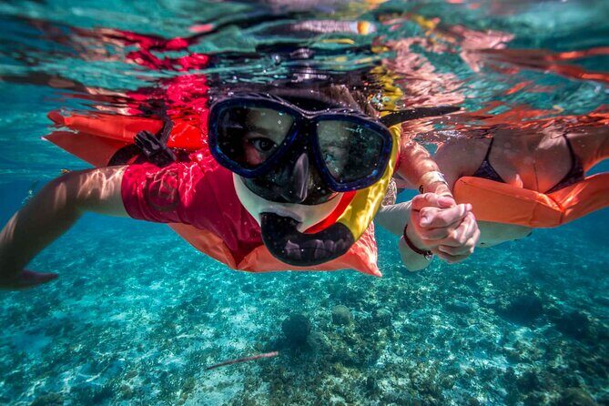 Private Island Kayak and Snorkel Tour in Vieques - An Overview of the Tour Experience