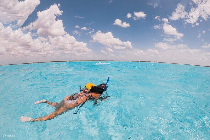 Private Island Kayak and Snorkel Tour in Vieques - Considerations and Practical Tips