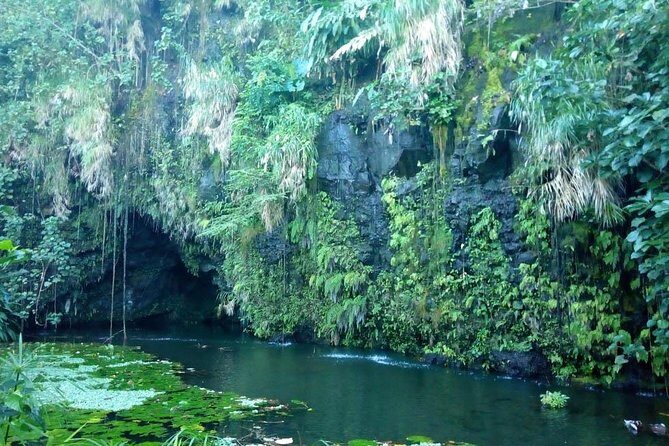 Private Island Tour ( 5 HOURS) - Who Will Love This Tour?