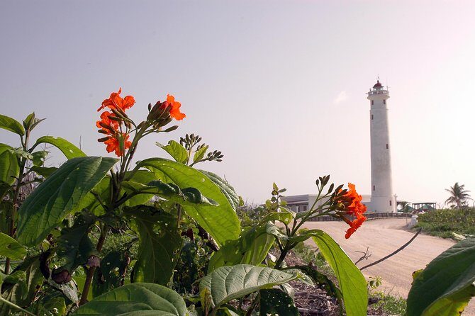 Private Island Tour at Your Leisure - Introduction: Is This Tour Right for You?