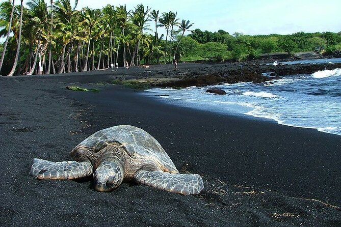 Private Island Tour in Hawaii with Pickup Included - What the Tour Means for Your Experience