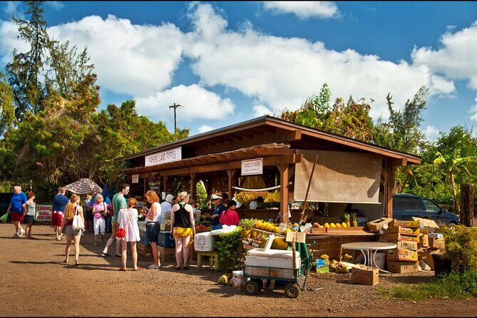 Private Island Tour Up to 24 people - Authentic Experiences and Local Insights