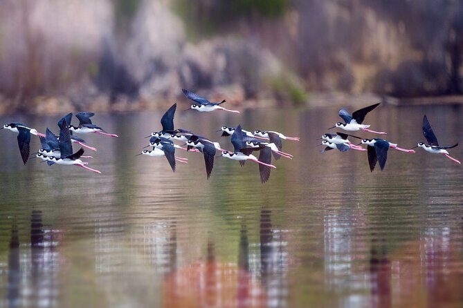 Private Island Tour with Photo Shoot Options Northern Tour - FAQs