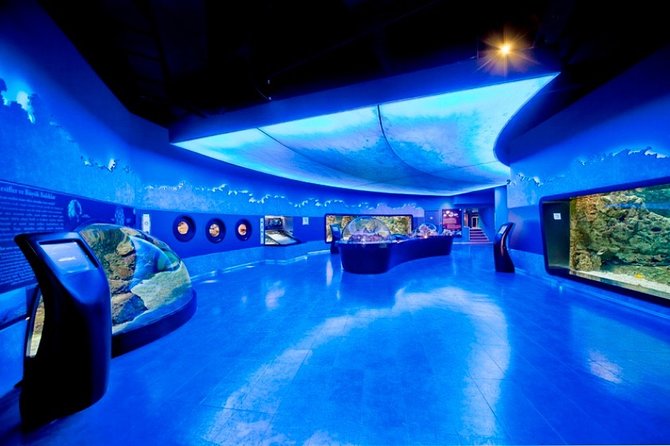 Private Istanbul full day daily or shopping tour - Who Should Consider This Tour?