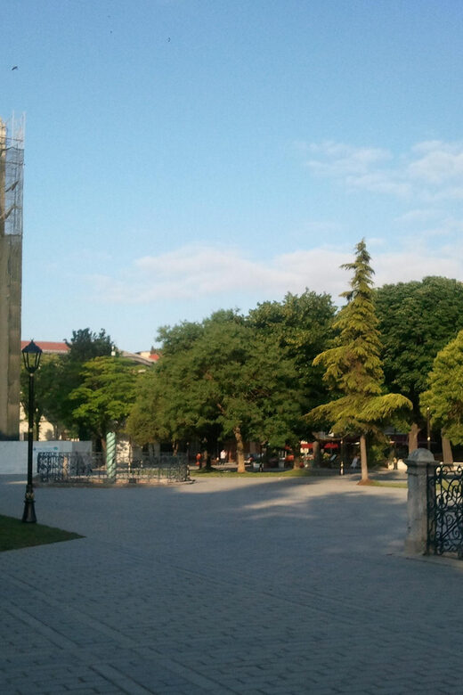 Private Istanbul Highlights Tour with a VIP Van - Who Will Love This Tour?