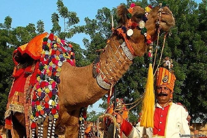 Private Jaipur City Tour From Delhi By Cab With Professional Driver - An In-Depth Look at the Jaipur Private Tour