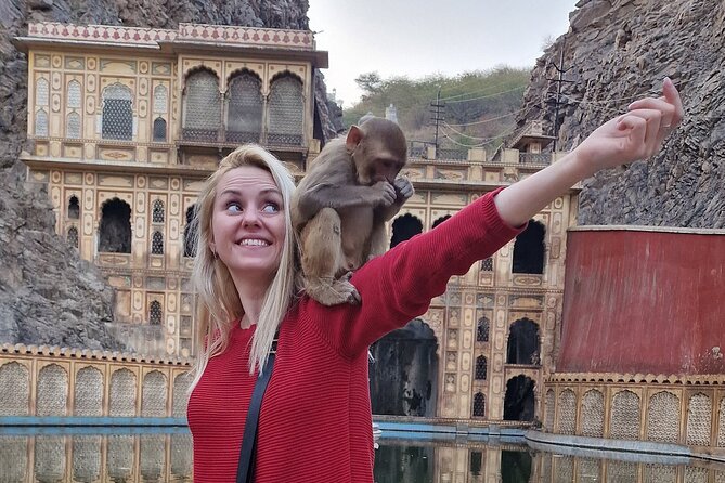 Private Jaipur Half Day Tour with Amer Fort and Stepwell - What Past Travelers Say