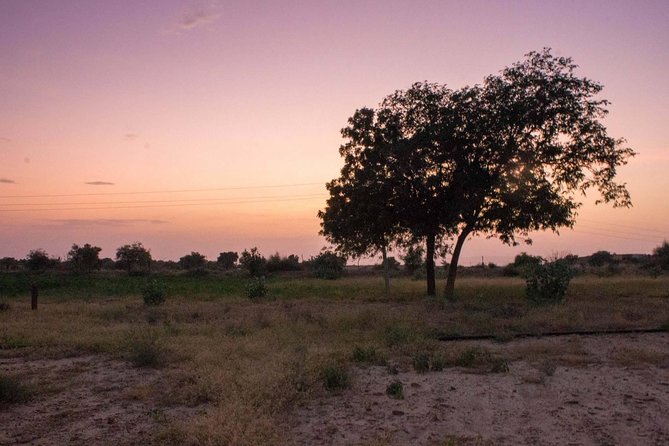 Private Jaisalmer Rural Farm Tour - How the Price Reflects the Value