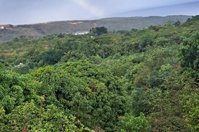 Private Jamrock Herbal Trek at Discovery Bay Jamaica - Key Points