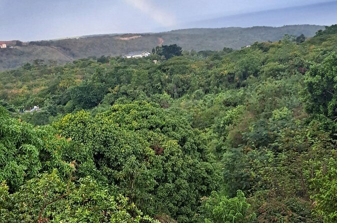 Private Jamrock Herbal Trek at Discovery Bay Jamaica - FAQ