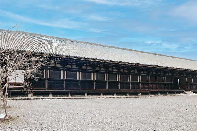 Private Japanese Ancient Tour From Kyoto to Nara - Highlights of the Tour