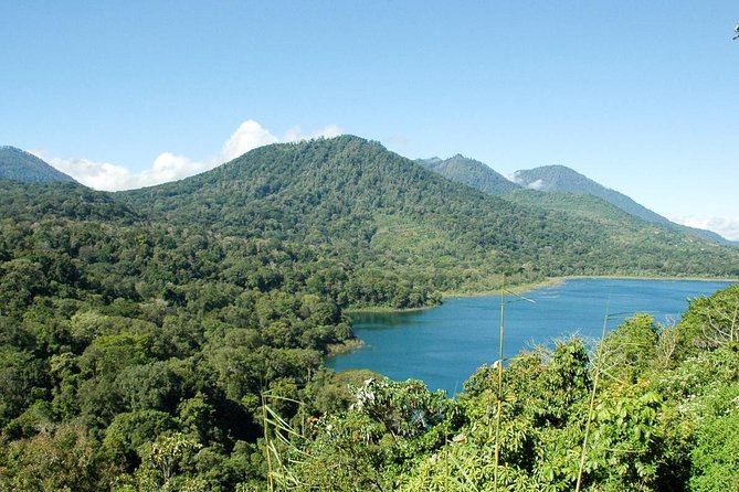 Private Jatiluwih Rice Terraces Heritage Site and Culture Tour - Why Choose This Tour?