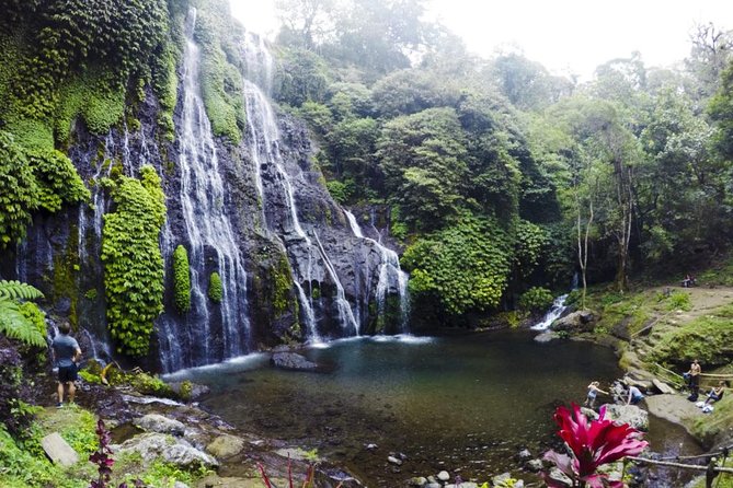 Private Jatiluwih Rice Terraces Heritage Site and Culture Tour - Who Will Love This Tour?