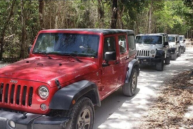 Private Jeep Cozumel Snorkeling Adventure in Jade Cave and Lunch - Final Thoughts
