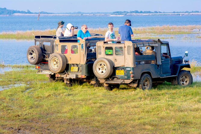 Private Jeep Safari at Minneriya National Park - The Itinerary and Experience