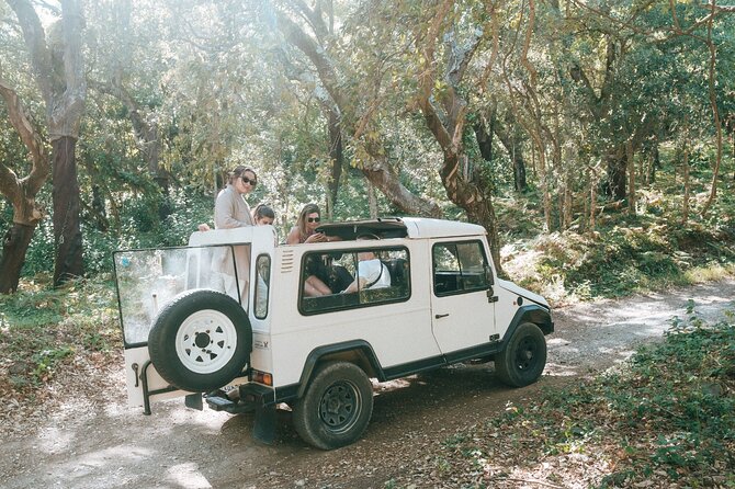 Private Jeep Safari in Sintra - About the Tour Operator and Reviews