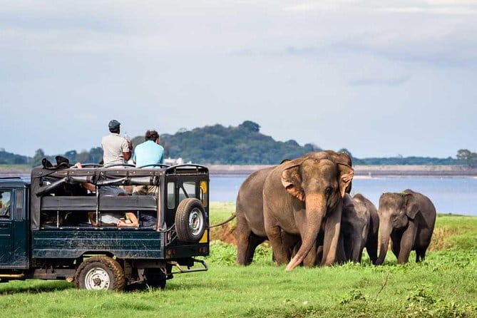 Private Jeep Safari To one of a Best National Park - Key Points
