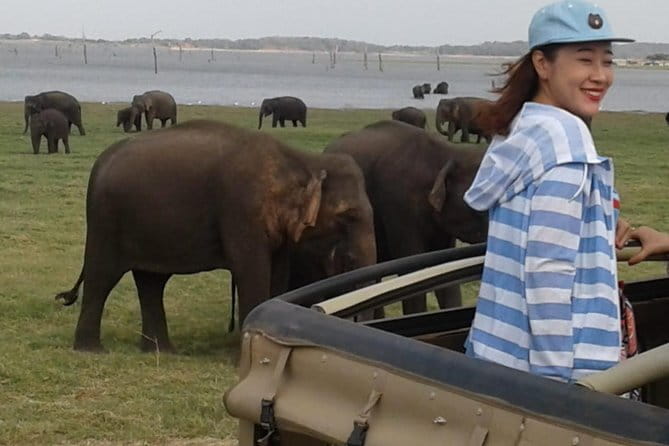 Private Jeep Safari To one of a Best National Park - Frequently Asked Questions