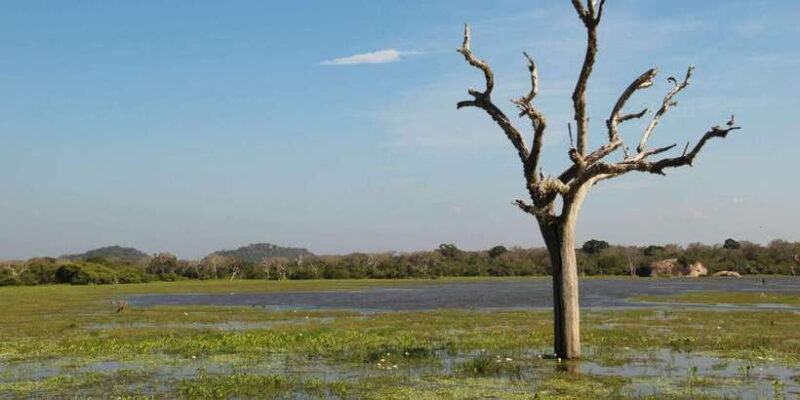 Private Jeep Safari to one of the Best National Parks - The Itinerary: What to Expect from Start to Finish