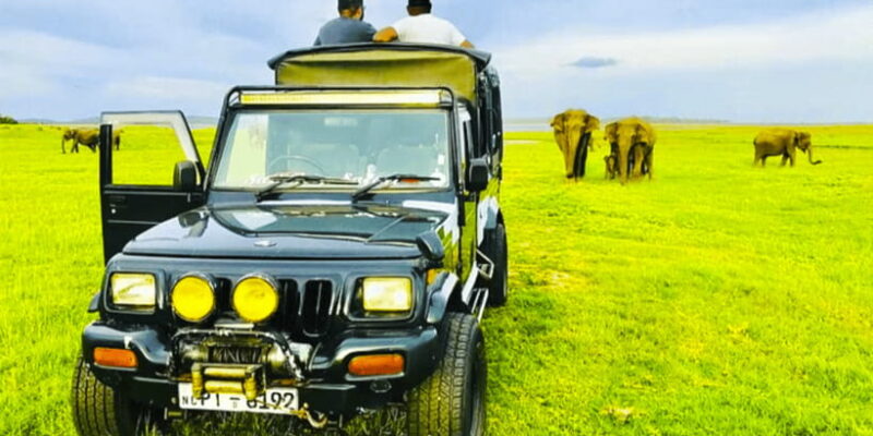 Private Jeep Safari to one of the Best National Parks - The Real Value of This Safari