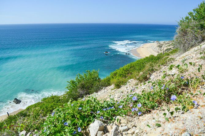 Private Jeep Tour Cabo Pulmo - Practical Details and What to Expect
