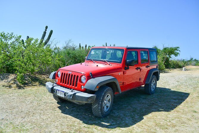 Private Jeep Tour Cabo Pulmo - Who Should Consider This Tour?