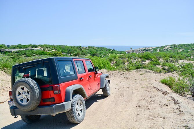 Private Jeep Tour Cabo Pulmo - FAQ