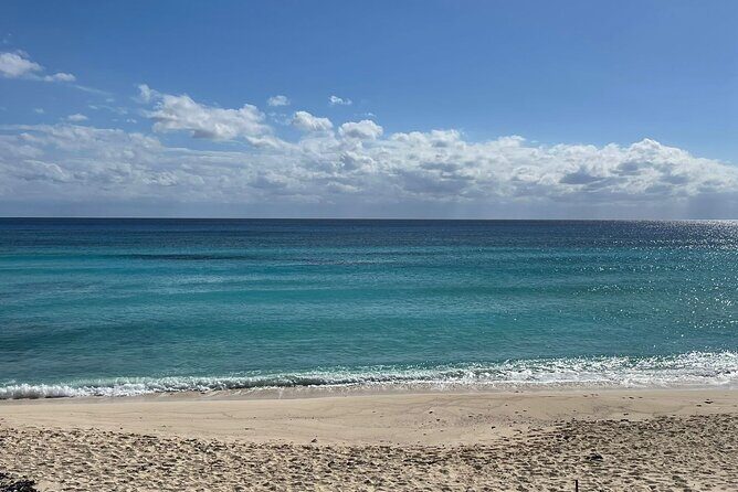 Private Jeep Tour in Cozumel to Local Areas with Snorkel & Lunch - Final Thoughts: Who Should Sign Up?