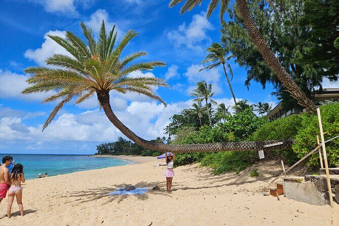 Private Jeep Tour of Oahu's Best Hidden Gems - The Sum Up