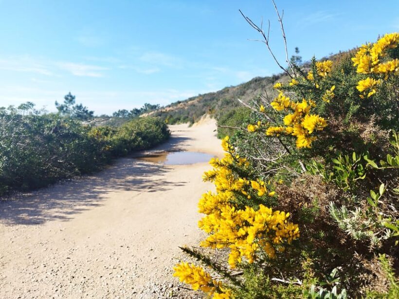 Private Jeep tour to Espichel Mysteries and Wild Beaches - Transportation and Comfort