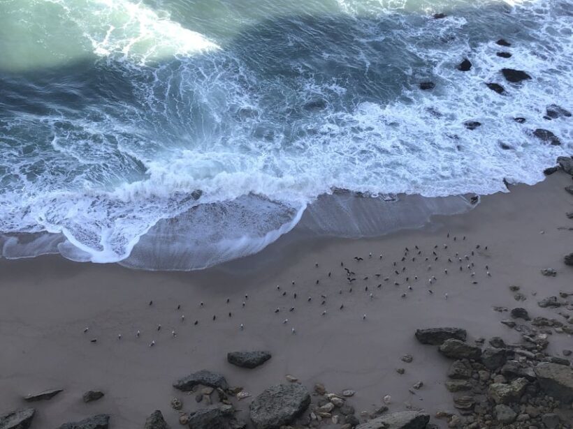 Private Jeep tour to Espichel Mysteries and Wild Beaches - Guides and Personal Touch