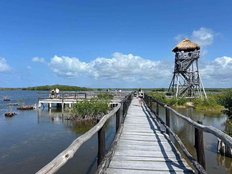 Private Jeep tour to Punta Sur park + snorkel + Lunch - Discovering Cozumel’s Highlights: What to Expect from the Tour