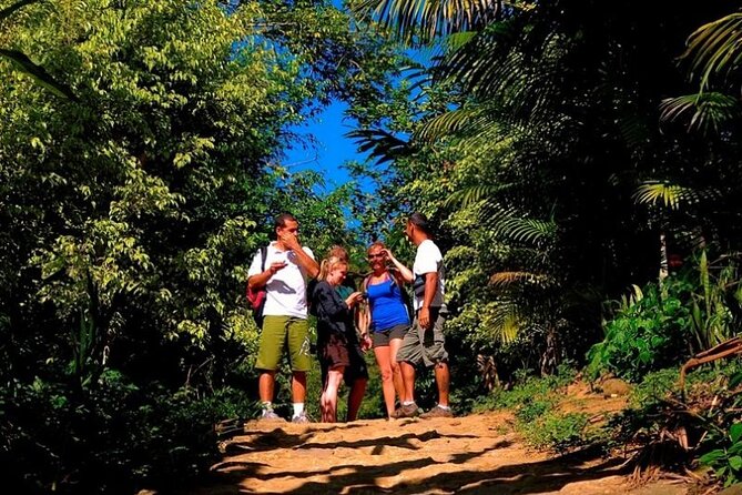 Private Jeep Tour With All Prices Included by PARATY TOURS - Booking and Reservations