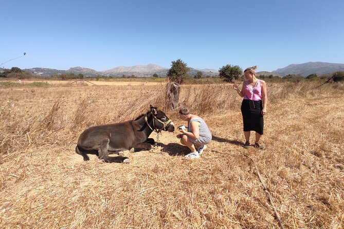 Private Jeep Tour - Zeus Cave - Cretan Villages - Booking and Pricing