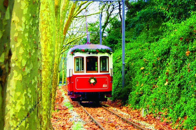 Private JEEP UMM Tour in Sintra - Practical Considerations: What You Need to Know