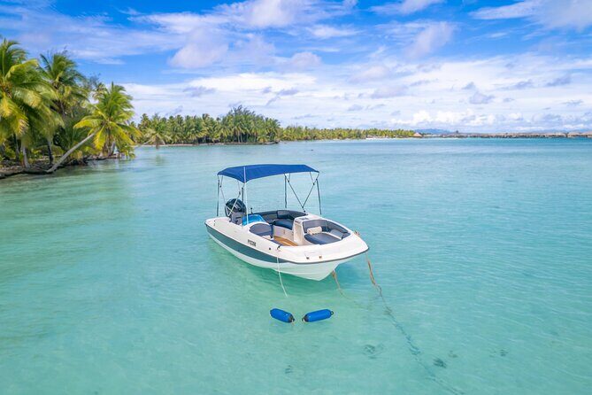 Private Jetboard Lessons with Instructor in Bora Bora - Who Should Consider This Tour?